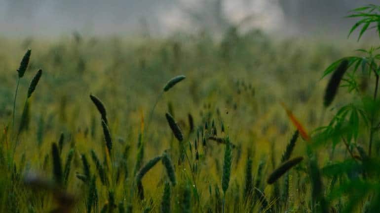 Elevated demand for work, missed rural infra targets: Centre may hike ...