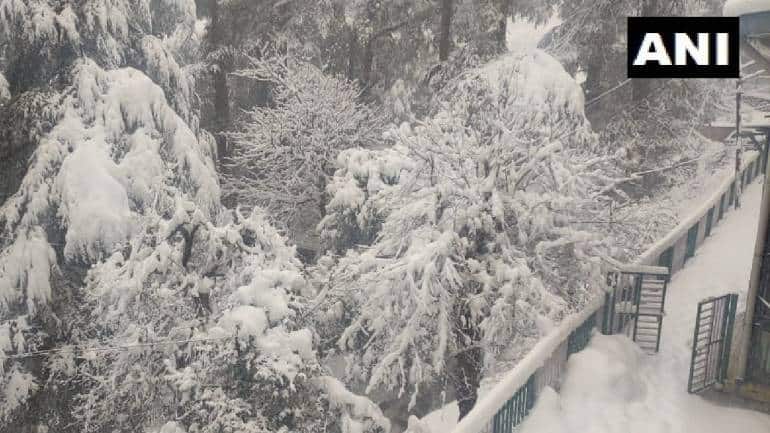 In Pics | Another round of snow turns Shimla into a winter wonderland