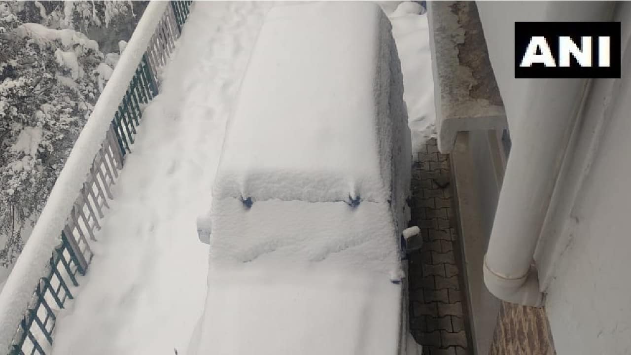 In Pics | Another round of snow turns Shimla into a winter wonderland
