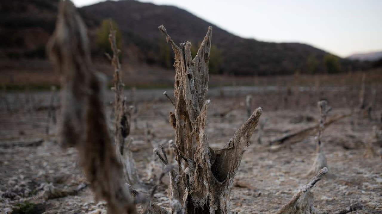 Chile announces unprecedented water rationing plan as drought enters ...
