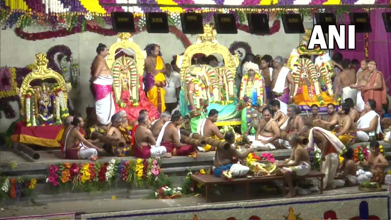 Chithirai Festival In Pics | Devotees throng Madurai temple