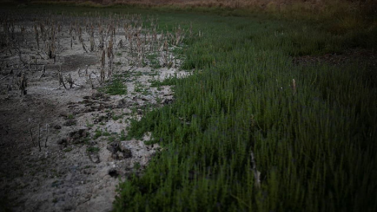 Chile announces unprecedented water rationing plan as drought enters ...