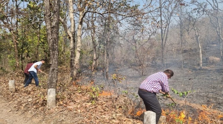 Chhattisgarh forest fires continue while forest staff remain on strike
