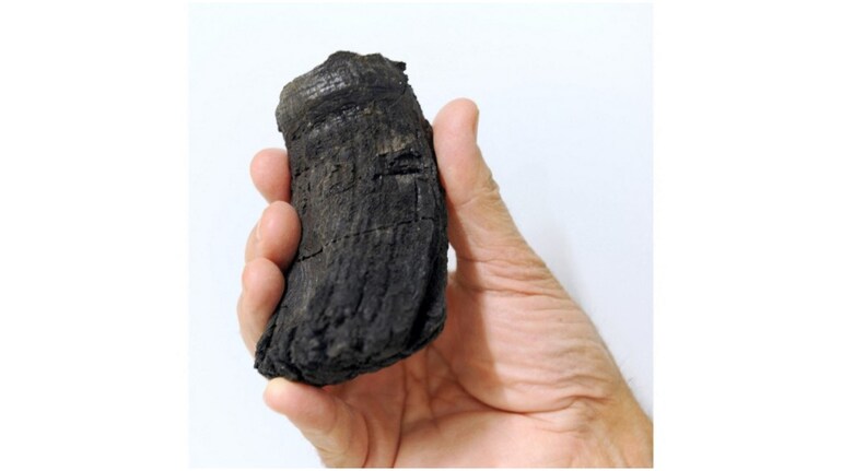 Giant tooth of ancient marine reptile discovered in Alps