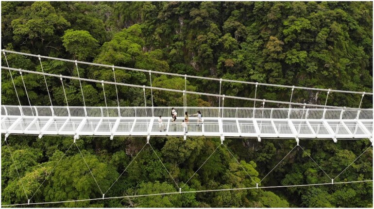 Spectacular glass-bottomed bridge above lush jungle opens in Vietnam