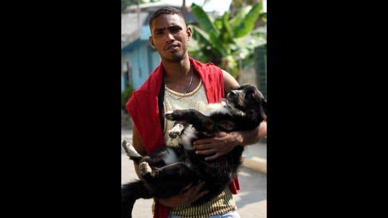 Migrant's perilous 8-country journey to US with pet dog
