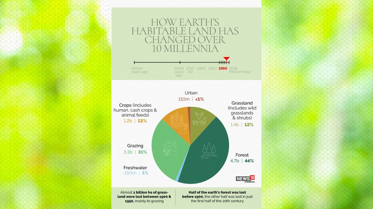 In Pics | A look at Earth’s surface cover over 10 millennia ...