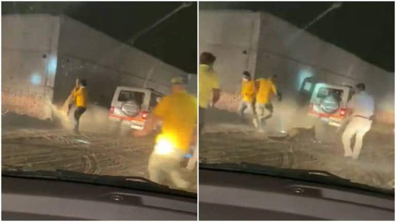 Caught on camera: Leopard attacks officers during rescue op in Haryana