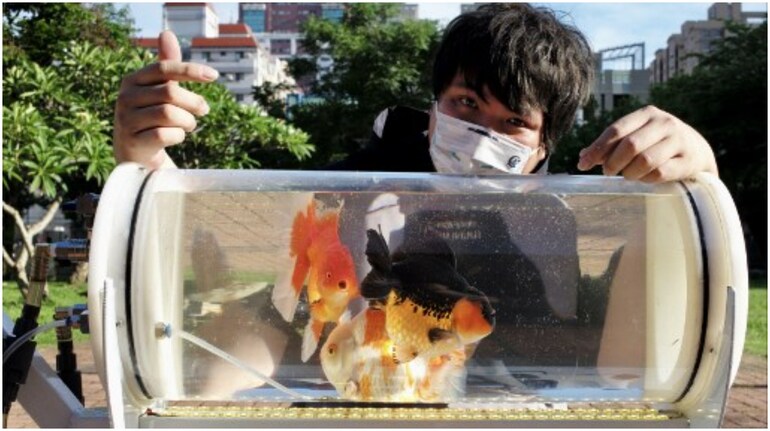 Taiwan man invents stroller for fish to 'explore other worlds'