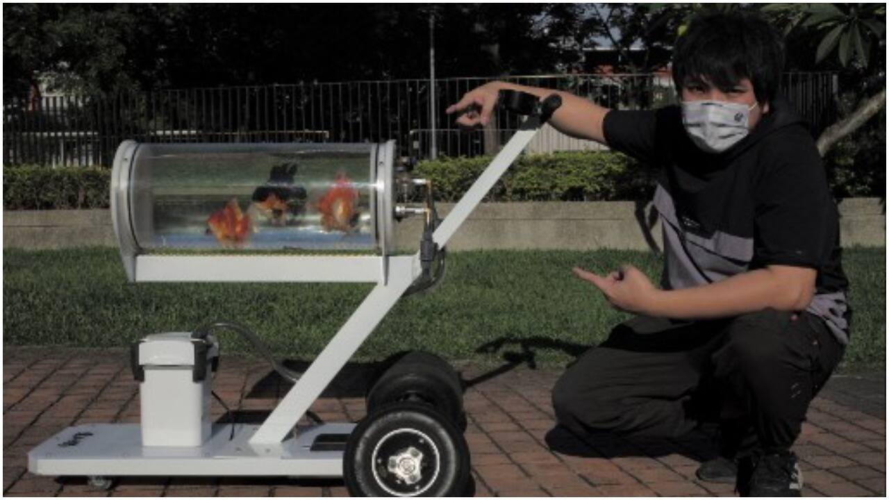 Taiwan man invents stroller for fish to 'explore other worlds'