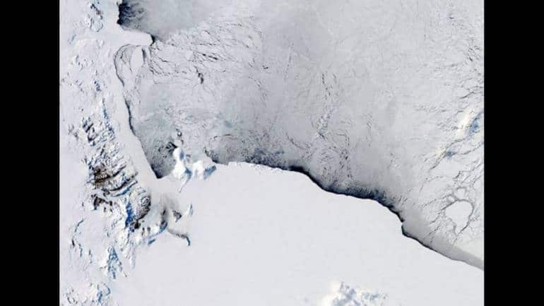 In Antarctica, scientists discover 'hidden world' of creatures swimming ...
