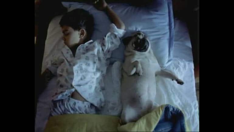 Storyboard18 | Throwback: A boy, a pug and Hutch