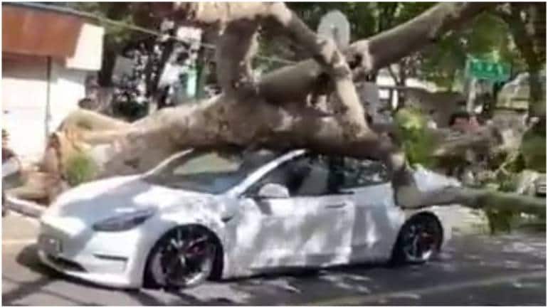 Watch: Massive tree falls on Tesla glass roof. Elon Musk responds to video