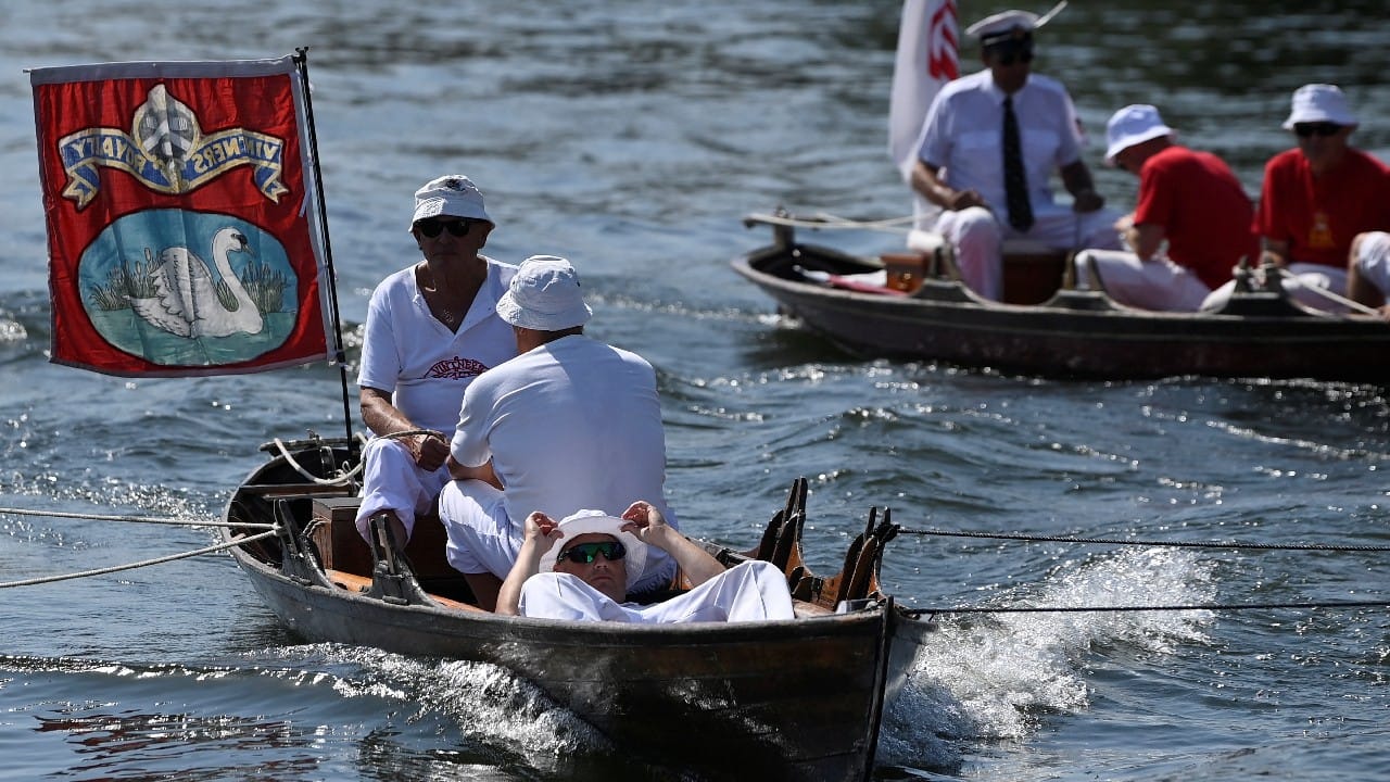 In Pics | Counting of the swans on Britain’s River Thames