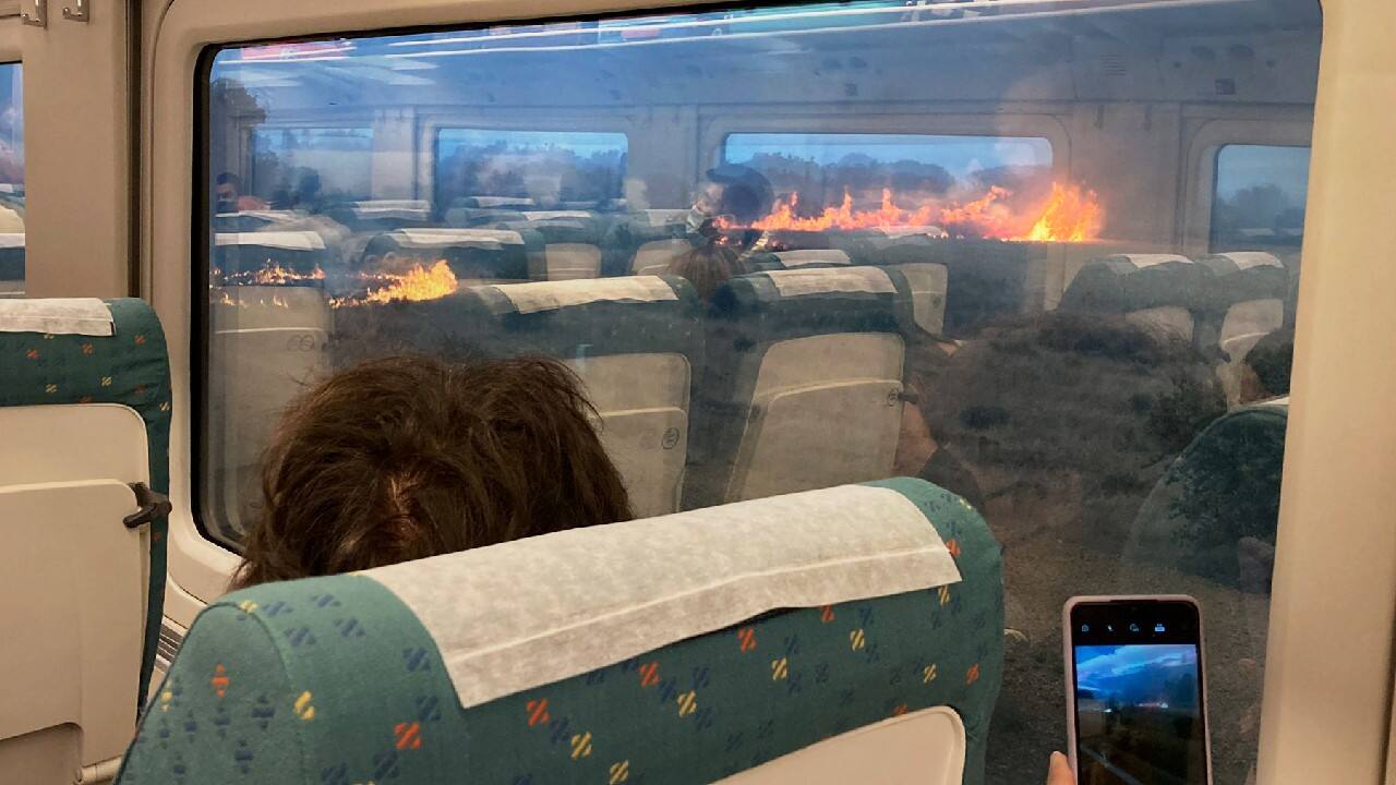 In Pics: Europe boils in heatwave fuelling fires in France, Spain