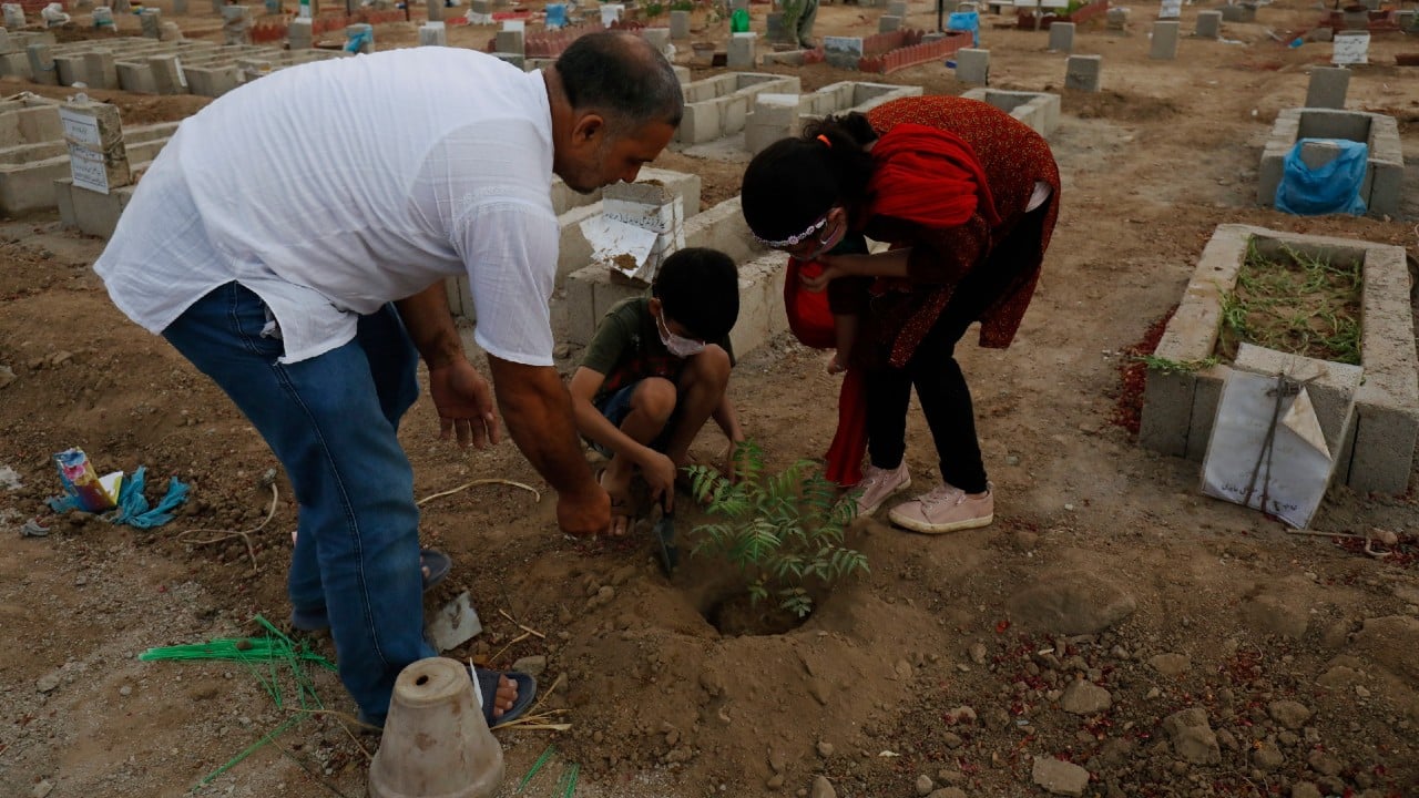 Pakistanis plant trees to provide relief from scorching sun