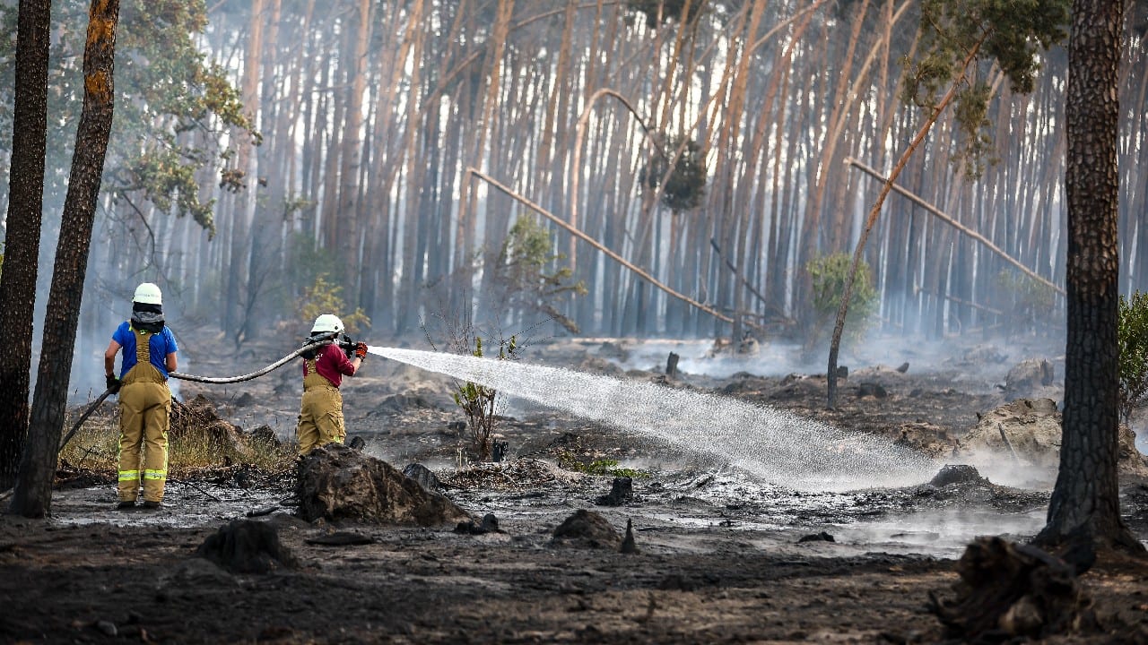 In pics | Hundreds of firefighters battle blazes in Germany, Czech Republic