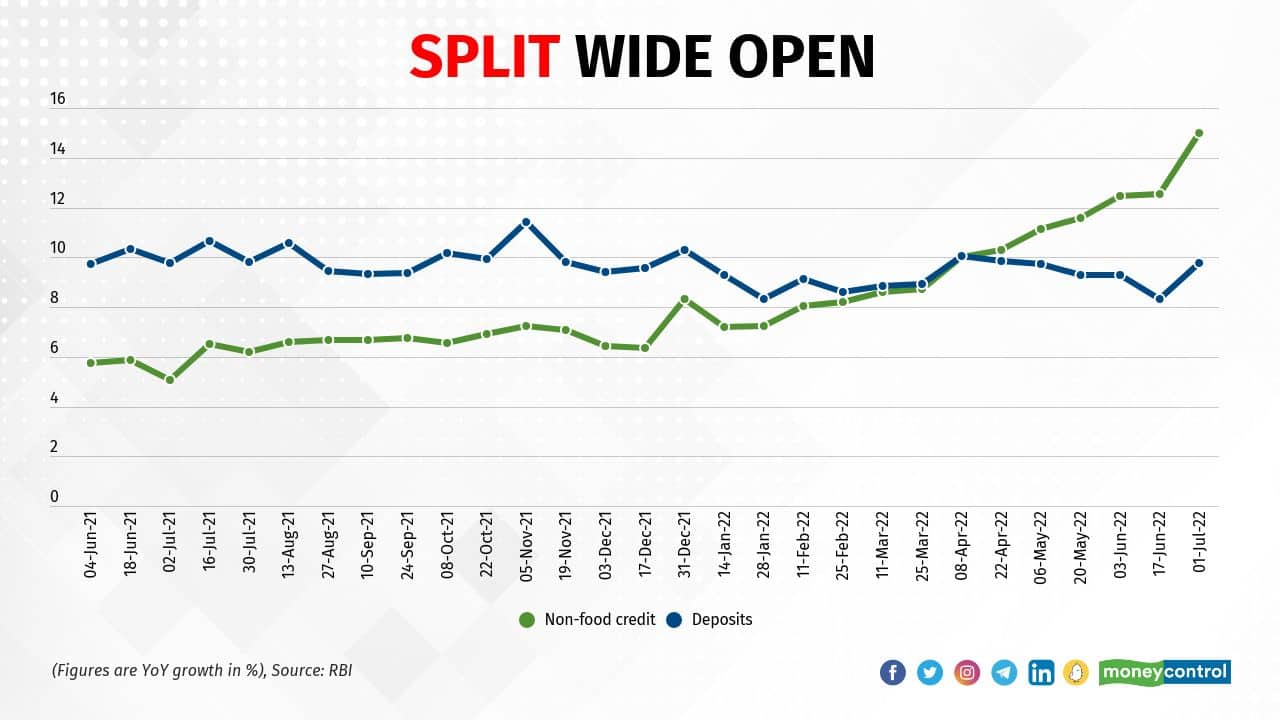 Explainer | Genetic similarity between humans and other life forms