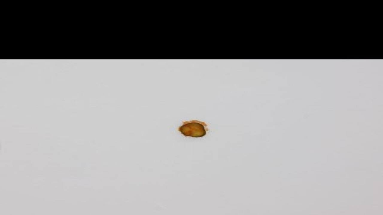 Introducing Moneybhai - India’s Biggest Virtual Trading Game