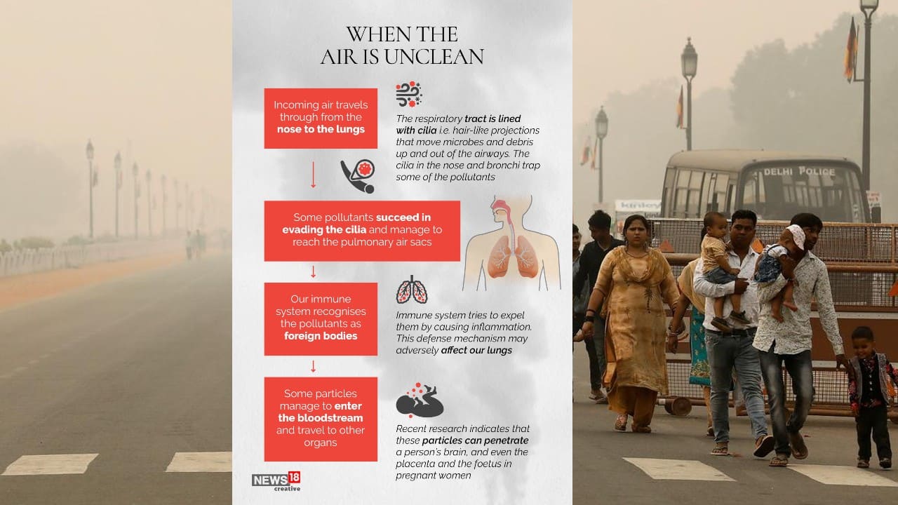 In Pics | A look at how air pollution affects our health