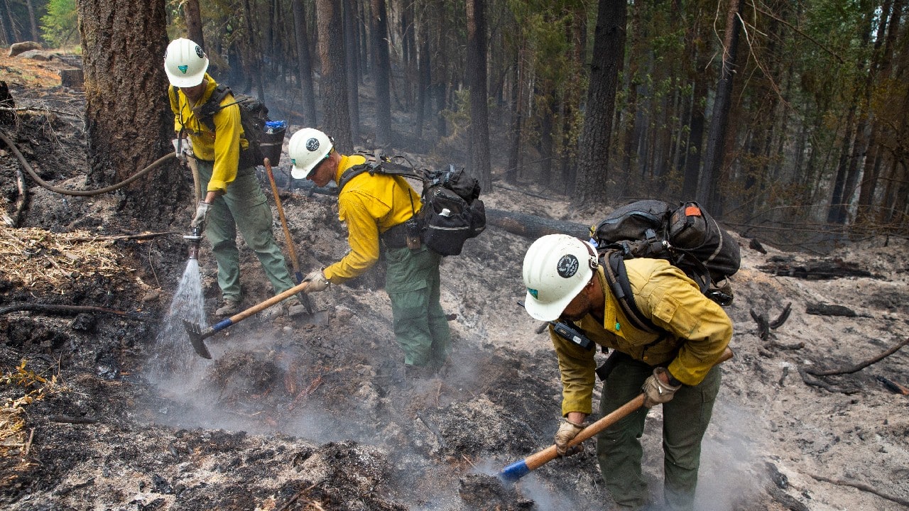 In Pics | No respite: California weather helps firefighters but ...