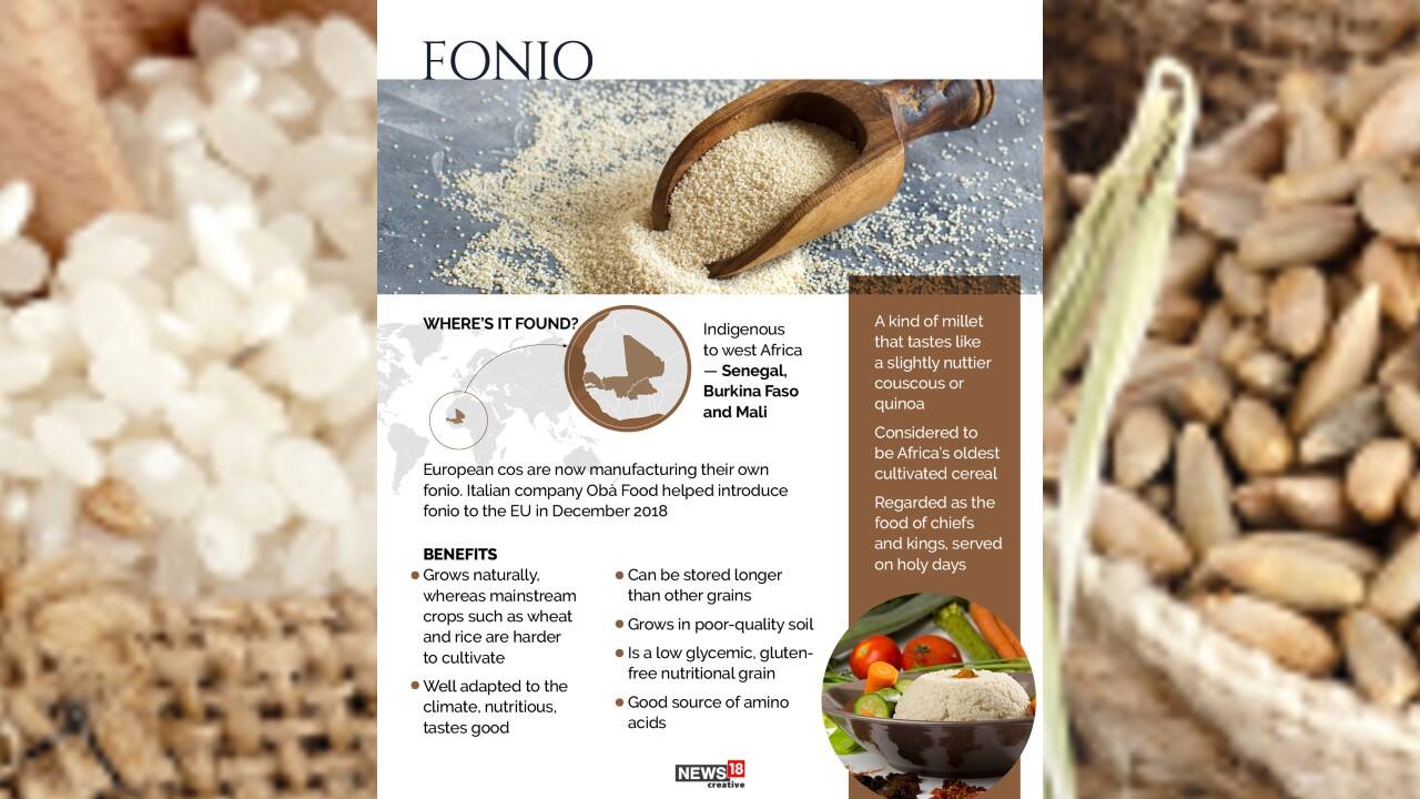 In Pics | Five foods to feed a hotter world | Moneycontrol News