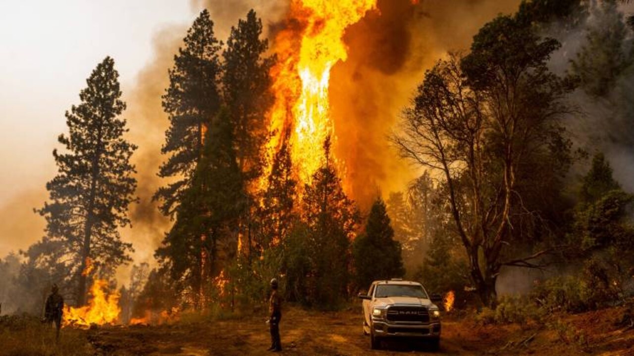 Explainer: How wildfire starts and spread; all you need to know ...