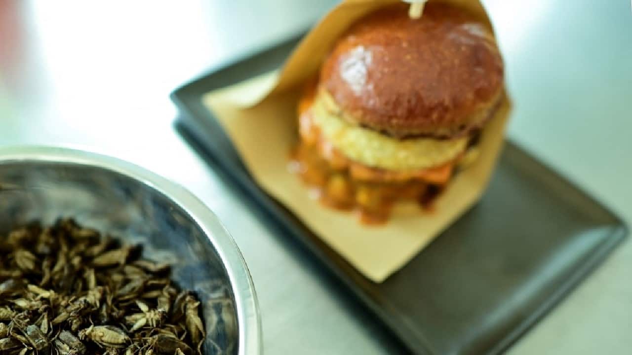 Bug Burgers In Pics | Thai pop-up wins fans with crunchless cricket ...