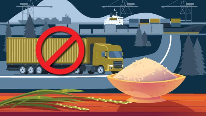 How far will rice-export ban help?