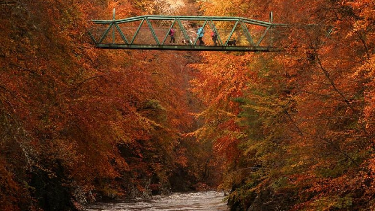 Stunning images of autumn beauty around the world | Moneycontrol News