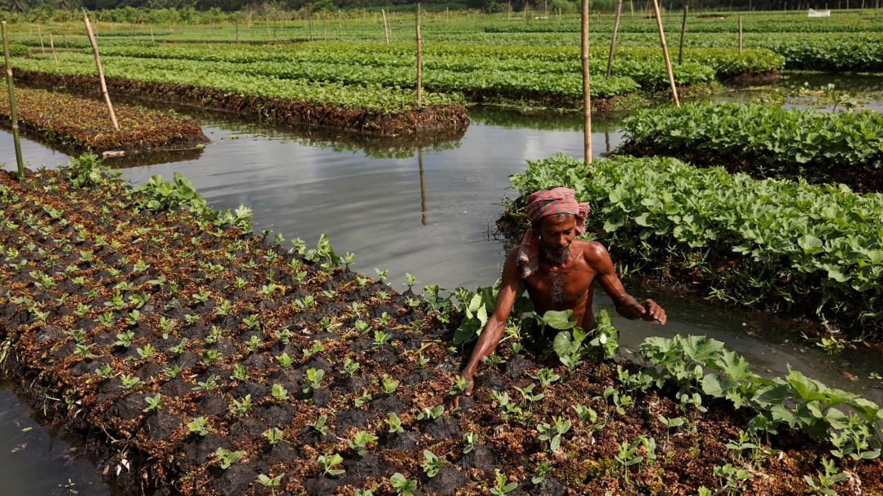 Bangladesh farmers revive floating farms to fight climate change ...