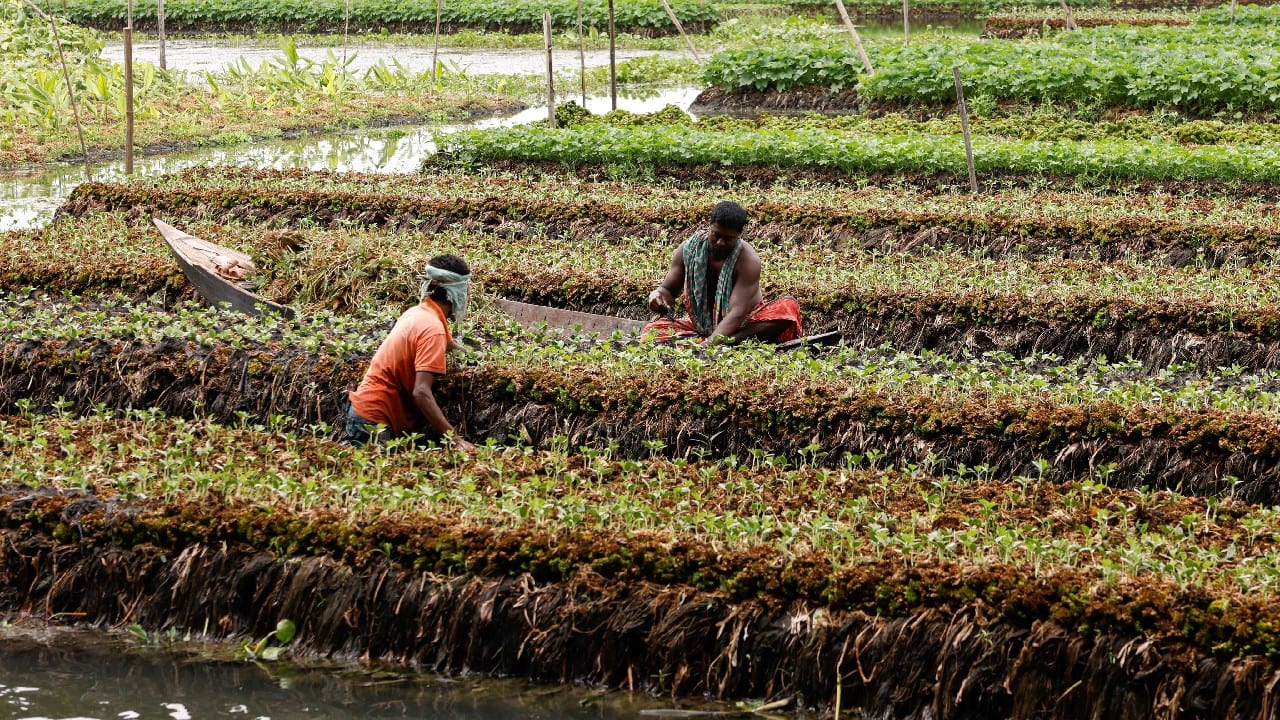 Bangladesh farmers revive floating farms to fight climate change ...