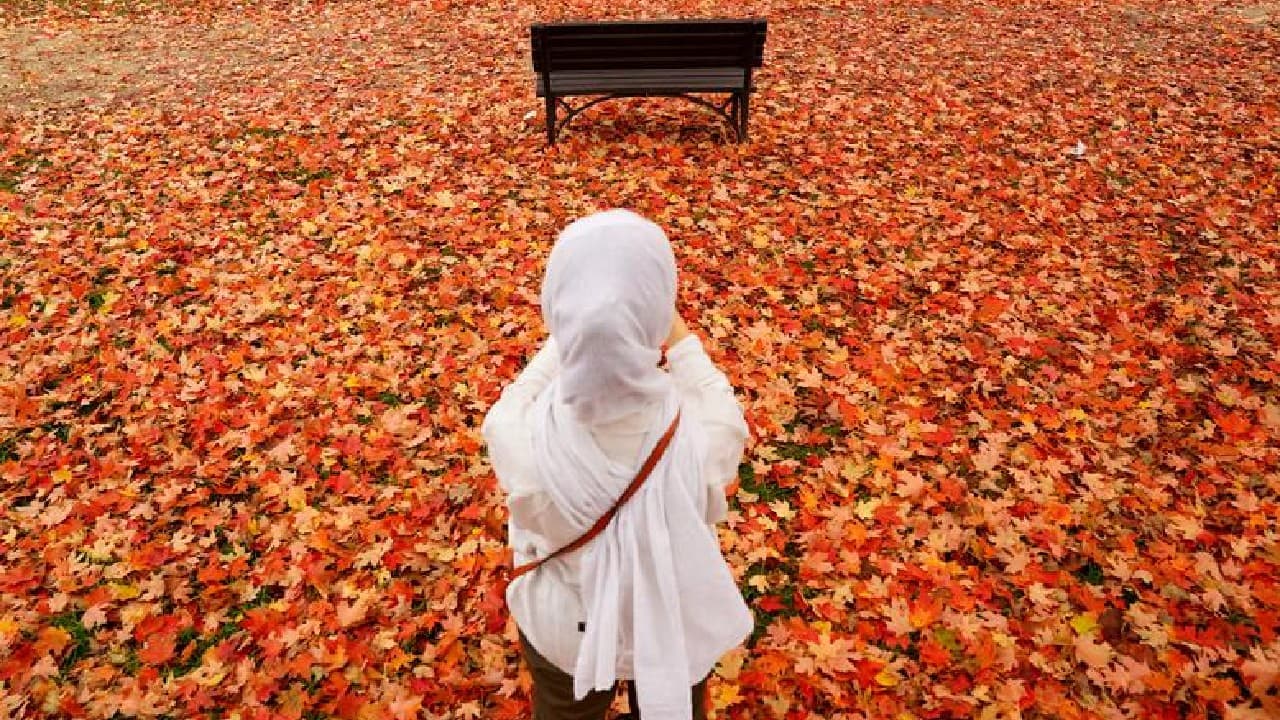 Stunning images of autumn beauty around the world | Moneycontrol News