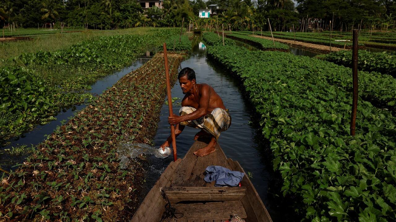 Bangladesh farmers revive floating farms to fight climate change ...