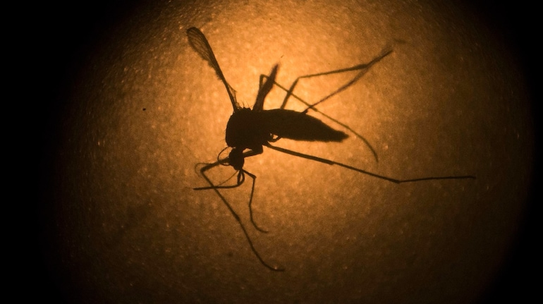 Why Google is seeking approval to release 32 million bacteria-infected ...