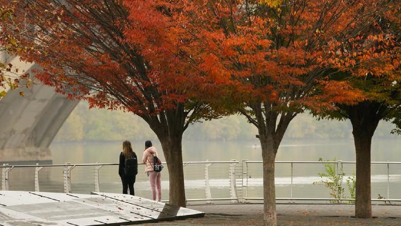 Stunning images of autumn beauty around the world | Moneycontrol News