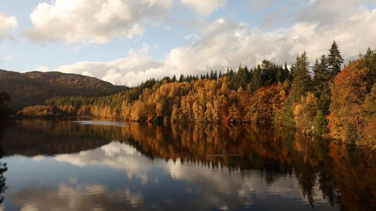 Stunning images of autumn beauty around the world | Moneycontrol News