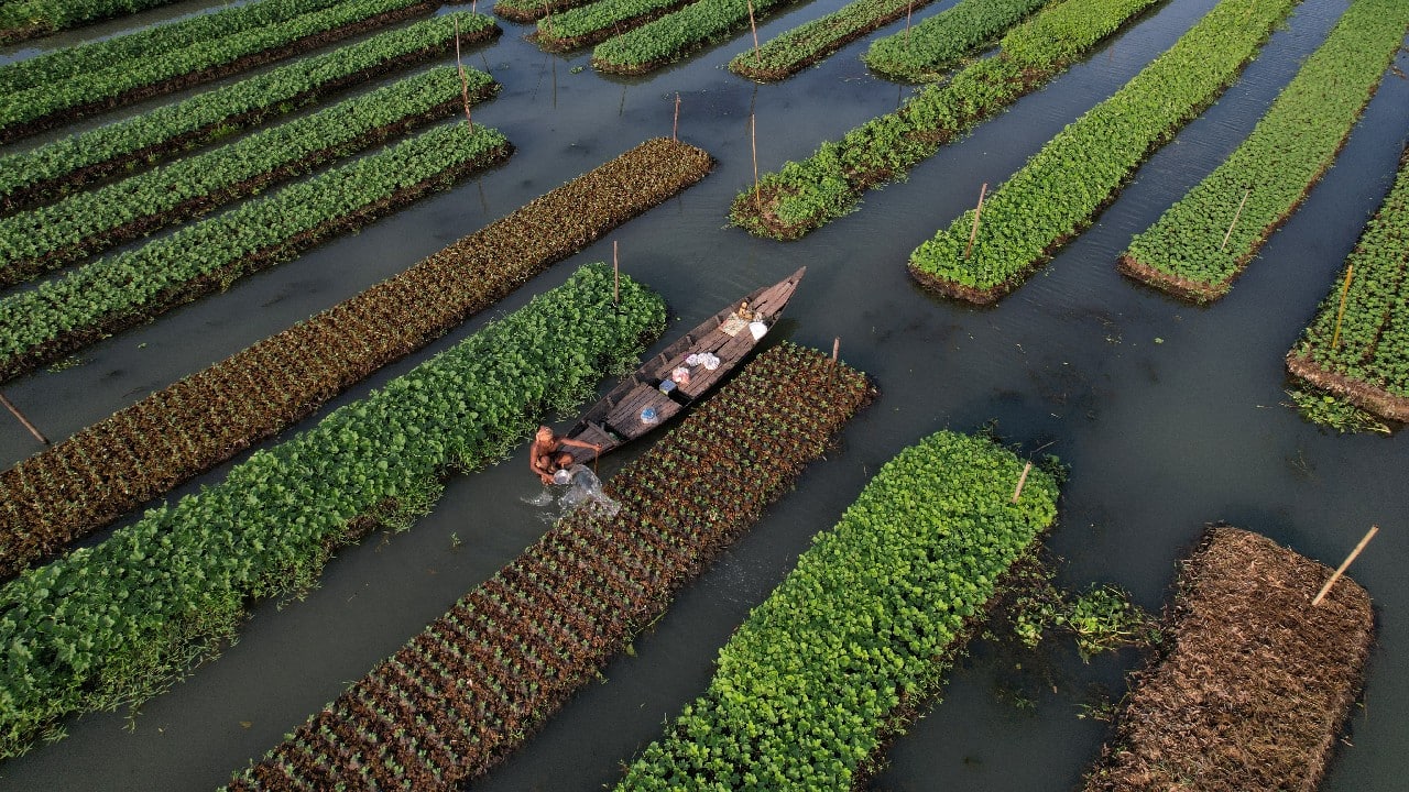 Bangladesh farmers revive floating farms to fight climate change