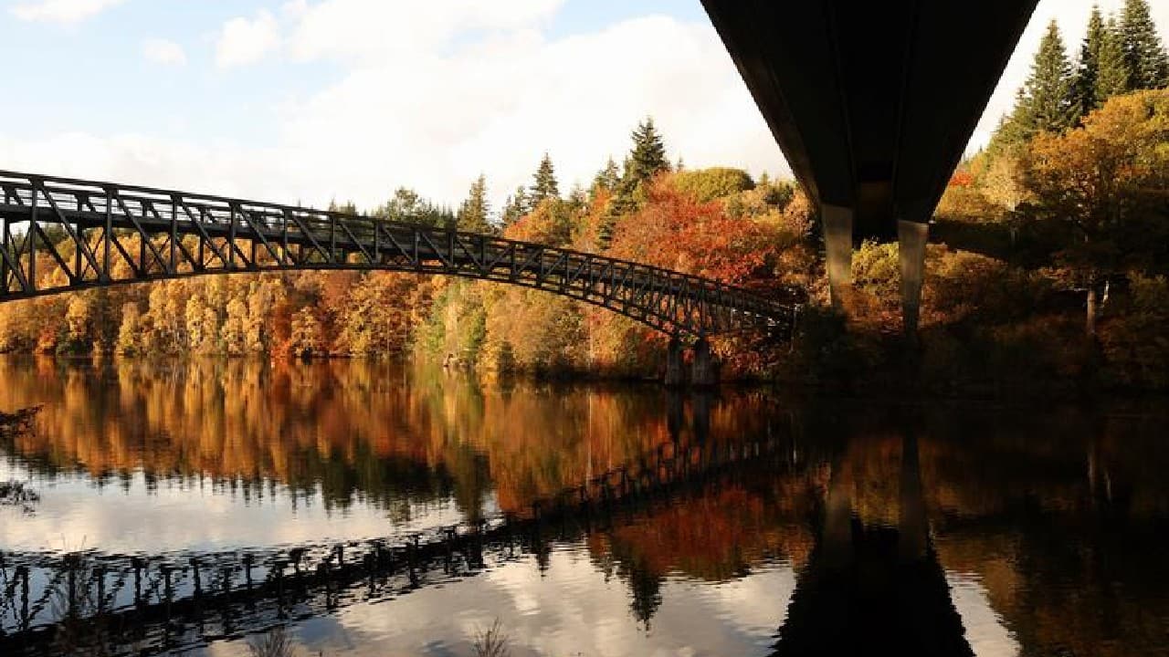 Stunning images of autumn beauty around the world | Moneycontrol News