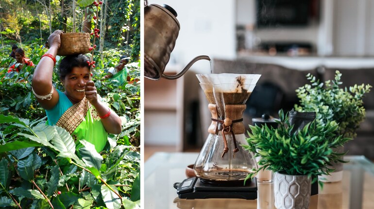 World Coffee Day | A revolution is getting stronger in India as premium ...