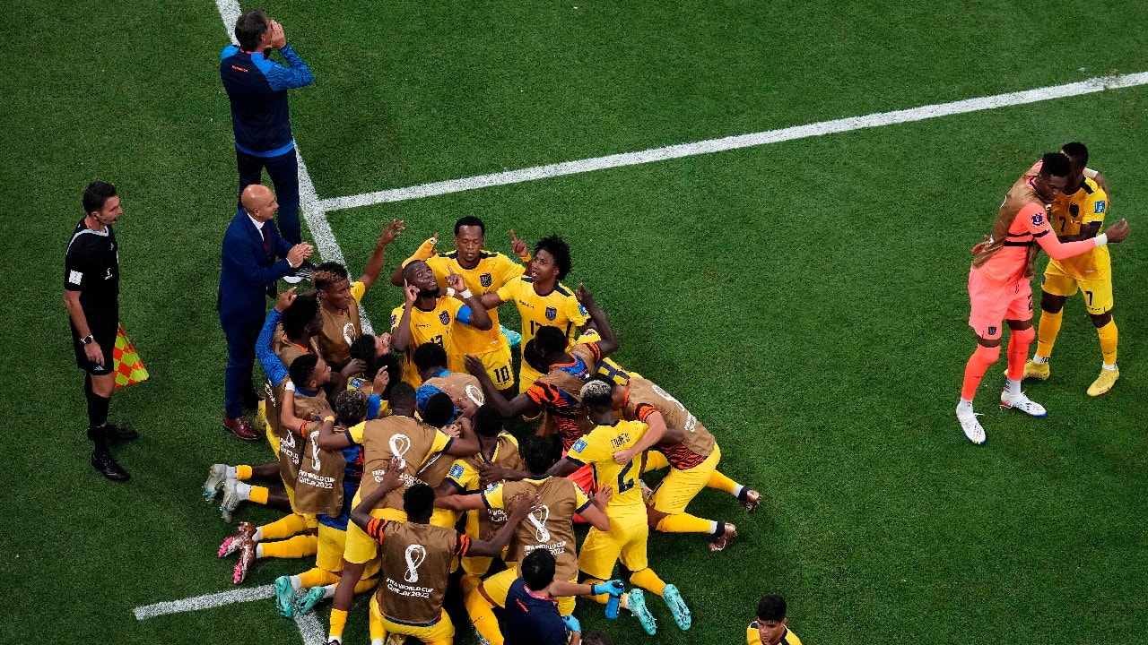 FIFA World Cup 2022 | Ecuador fans cheer historic win after crushing ...
