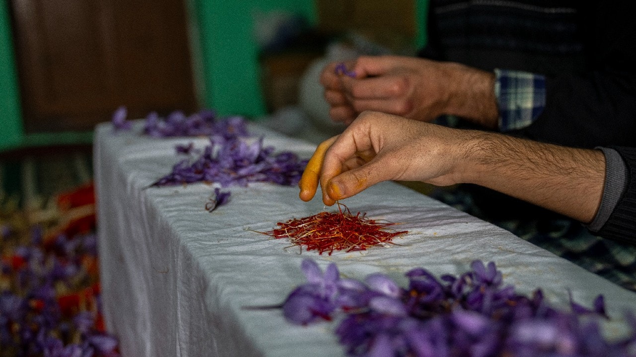 Farmers in Kashmir try growing saffron indoors | Moneycontrol News
