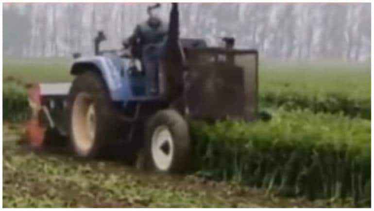 Video: Chinese farmers destroy crops amid raging anti-Covid protests