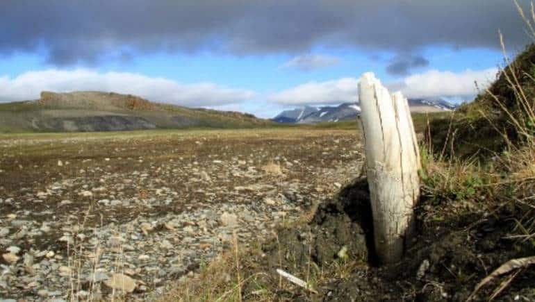 50,000-year-old 'zombie virus' revived from Siberian permafrost