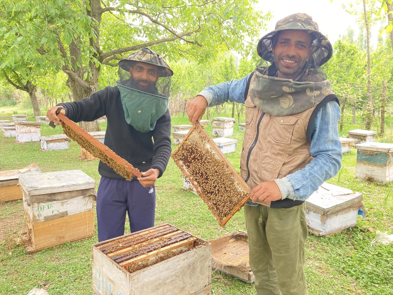 Beekepeers hit the sweet spot in the Kashmir Valley