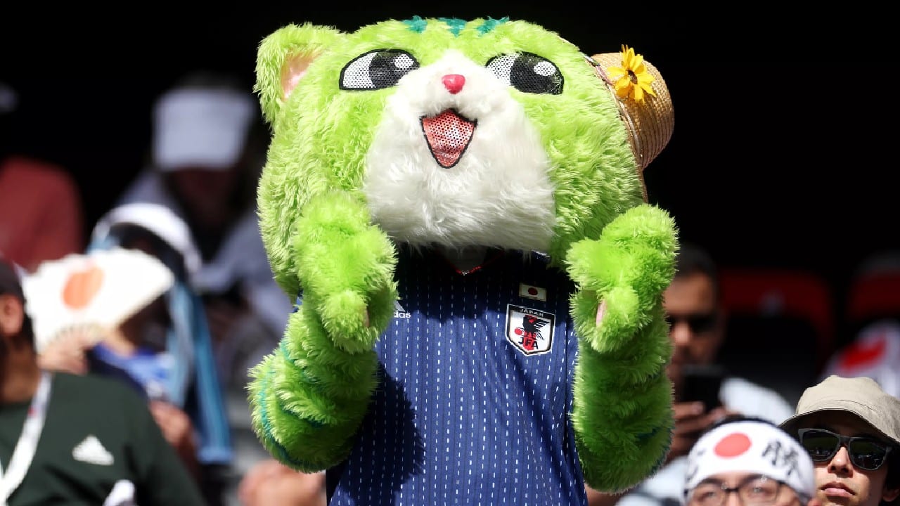 FIFA World Cup 2022: Some quirky, bizarre costumes football fans wore ...