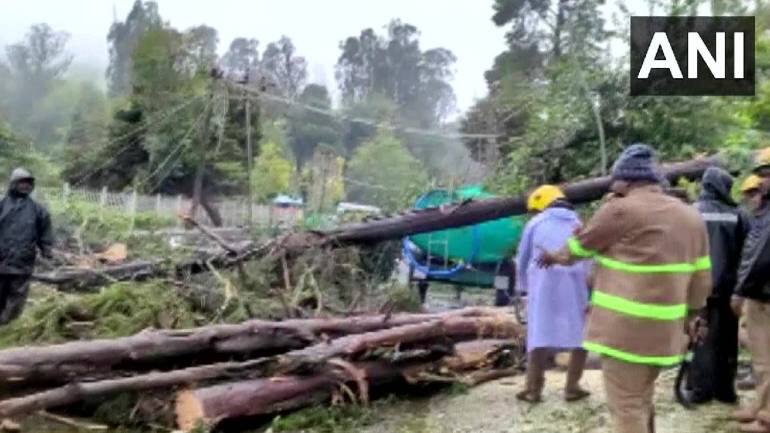 Cyclone Mandous aftermath: one dead, over 5000 ha crop damaged in ...