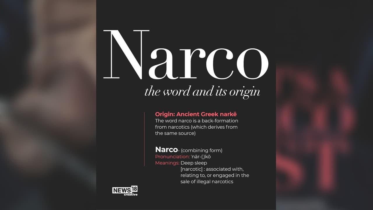 In Pics | All you need to know about narco-analysis test that Aftab ...