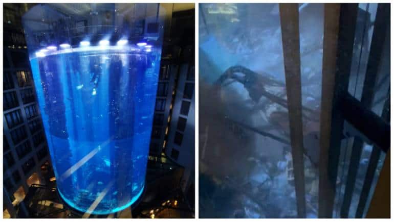 Huge Berlin aquarium, home to 1,500 fish, explodes: 'incredible ...