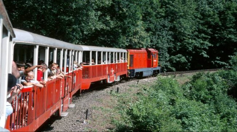 Jupiter Wagons hit upper circuit at 5% on strong earnings, management ...